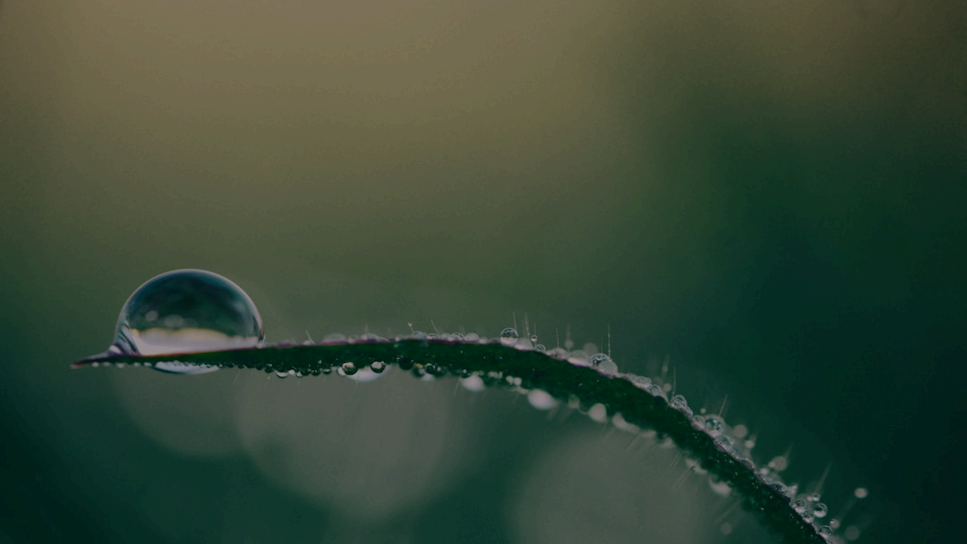 手动安装 | Cyberklick-DTC - 最好的 AI SaaS 模板